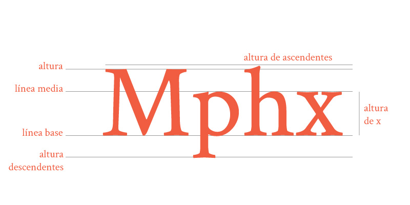 Describir las partes de la letra - panorama | blog de diseño